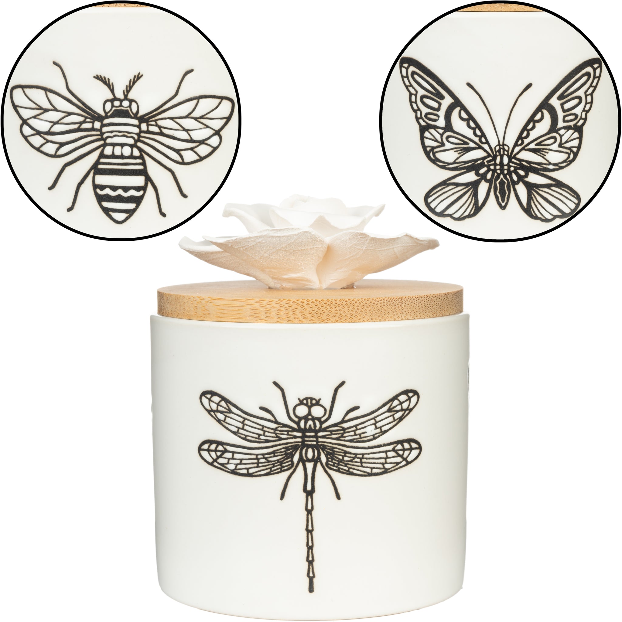 Essential Oil Diffuser and Aroma Diffusers | ScentSationals