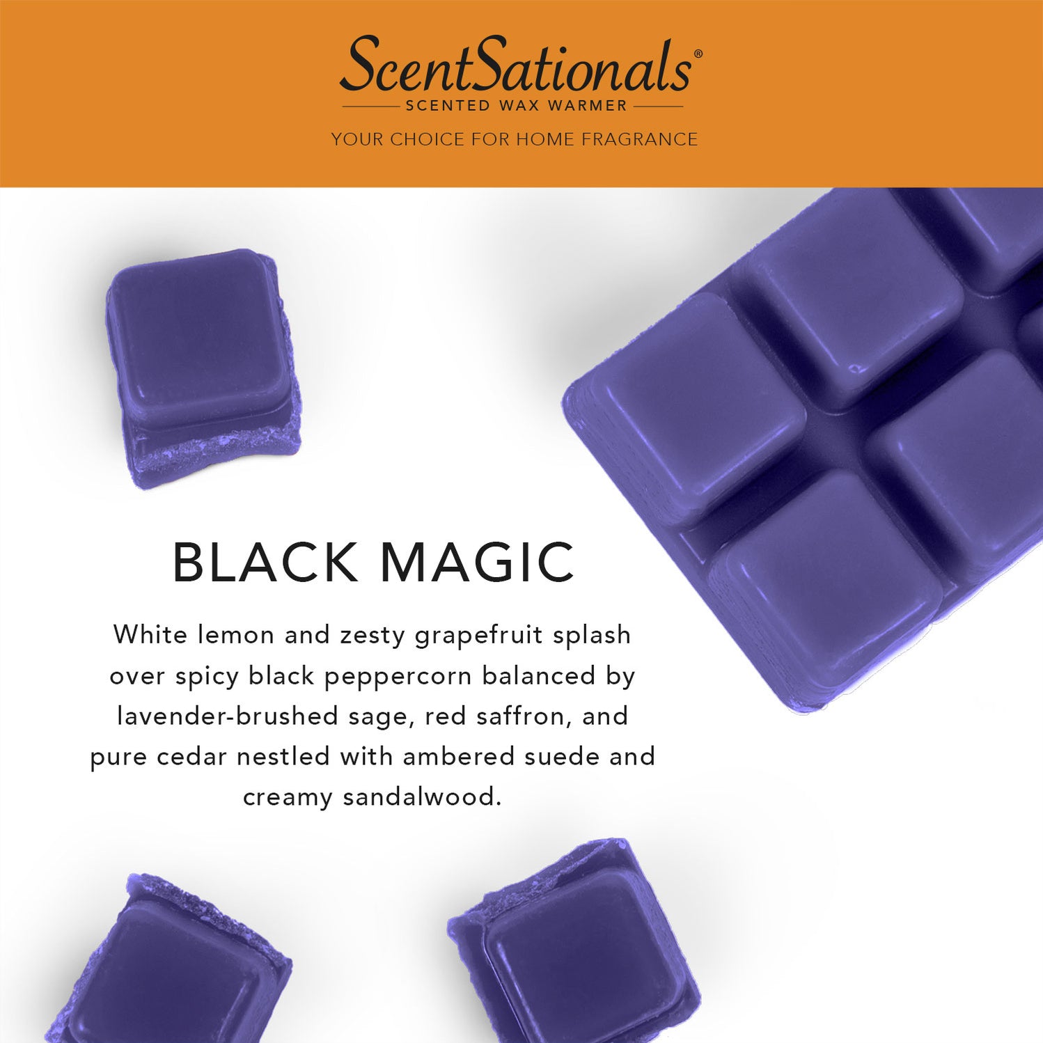 Black Magic Halloween Wax Melts | ScentSationals