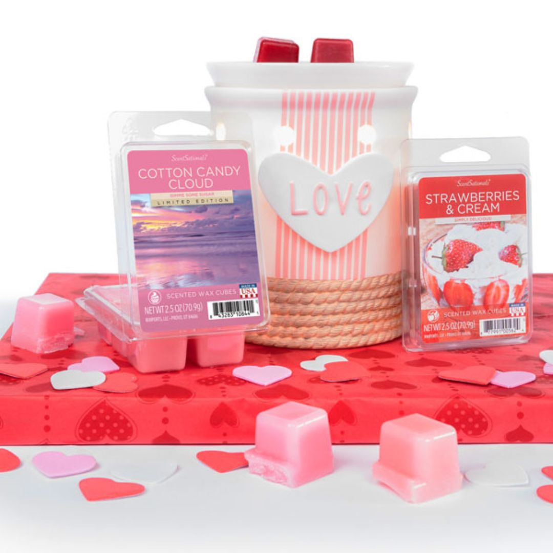 Home Fragrances - Wax Warmers & Wax Melts | ScentSationals