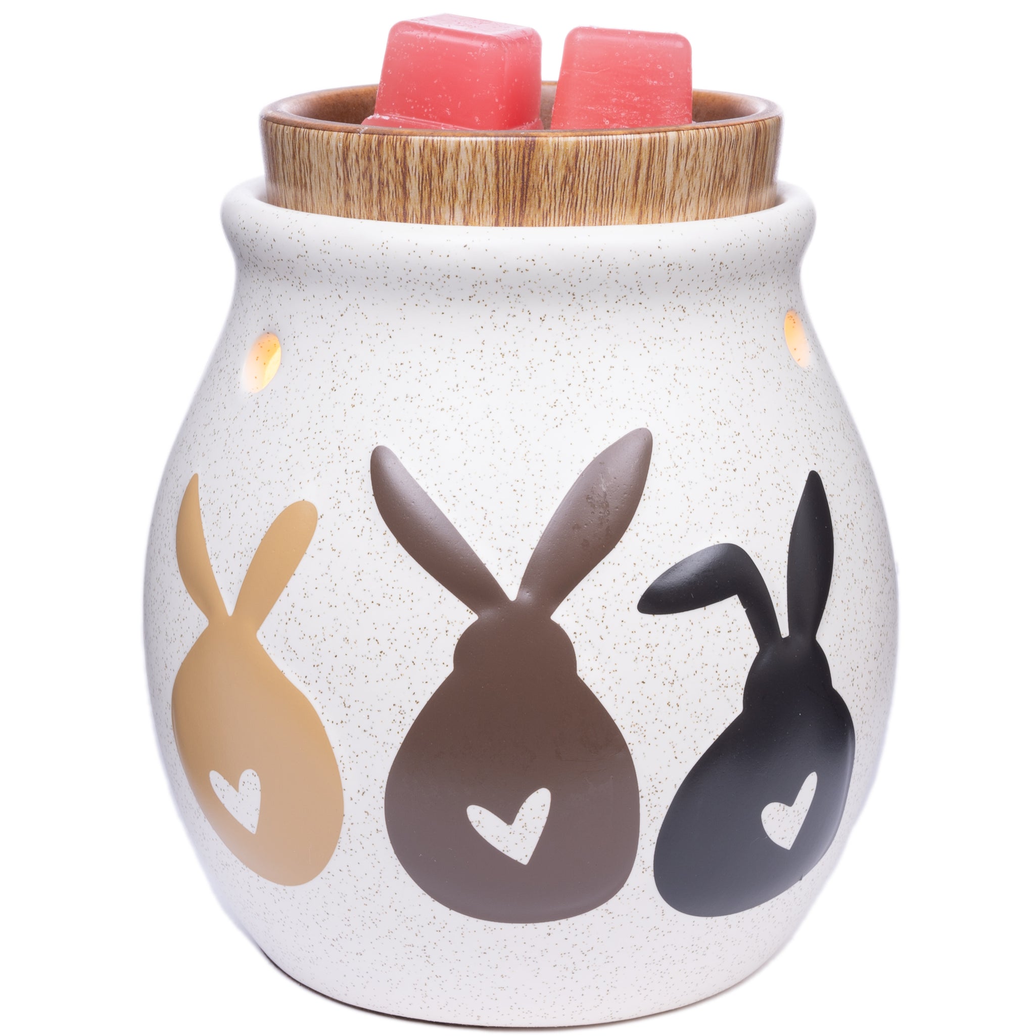 Home Fragrances - Wax Warmers & Wax Melts | ScentSationals